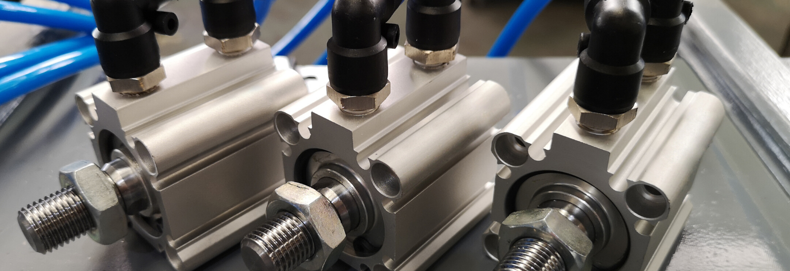 Greases and lubricating oils for pneumatic cylinders